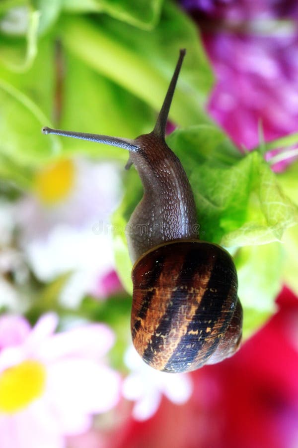 Tall rocky mountain stock photo. Image of qing, spot, blue - 5735108