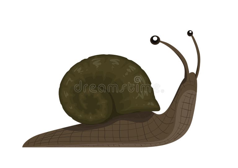 Pace Snails Stock Illustrations – 39 Pace Snails Stock Illustrations ...