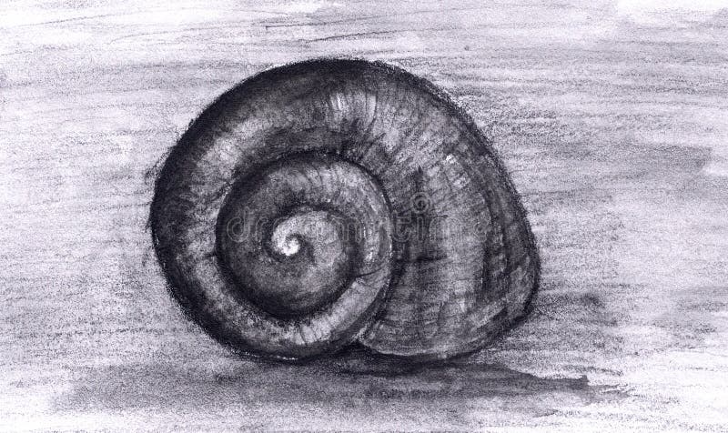 Sketch of a snail stock illustration. Illustration of sketch - 43099064