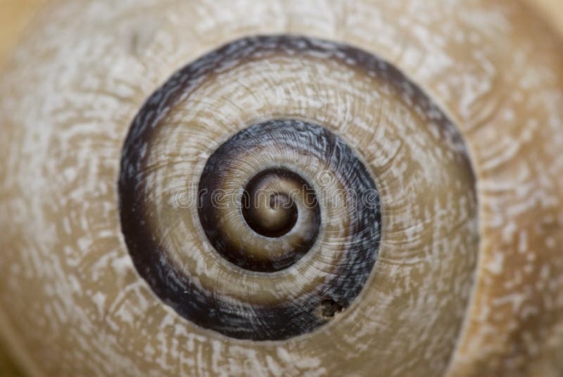 Pi number stock illustration. Illustration of geometry - 16533128