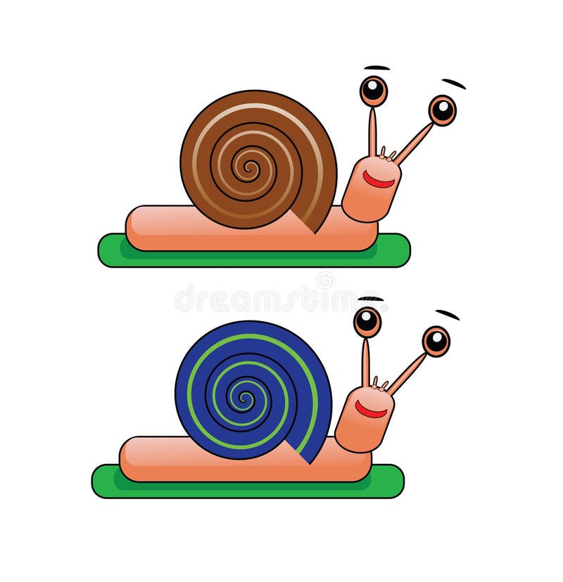 Morphology, Cross-section of Snail Stock Vector - Illustration of ...