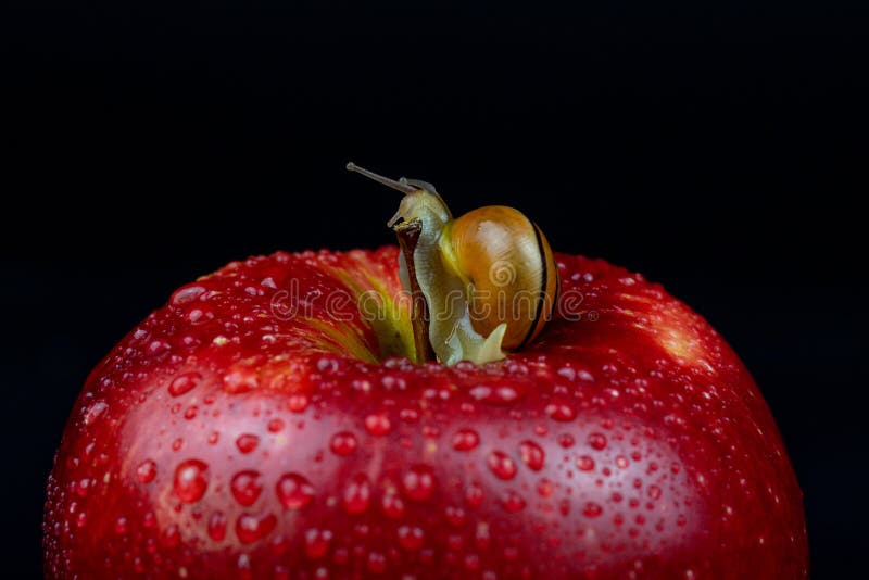 Gorg66 - Photographer profile