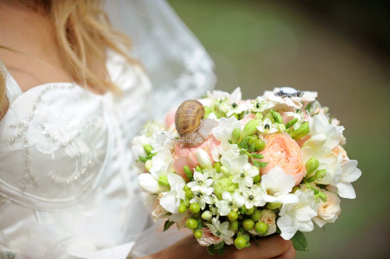 Snail on Bouquet stock image. Image of leaf, beauty, celebration - 29619651