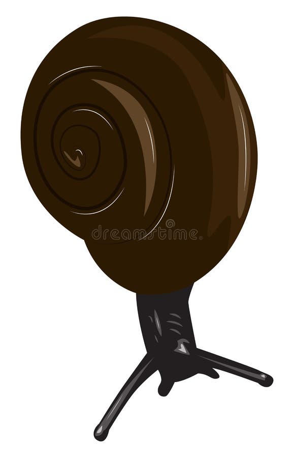 Snail with brown shell stock vector. Illustration of brown - 77199019