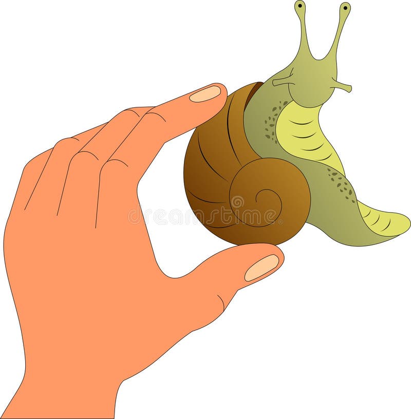 Snail with Brown Shell in Human Hand Stock Vector - Illustration of ...
