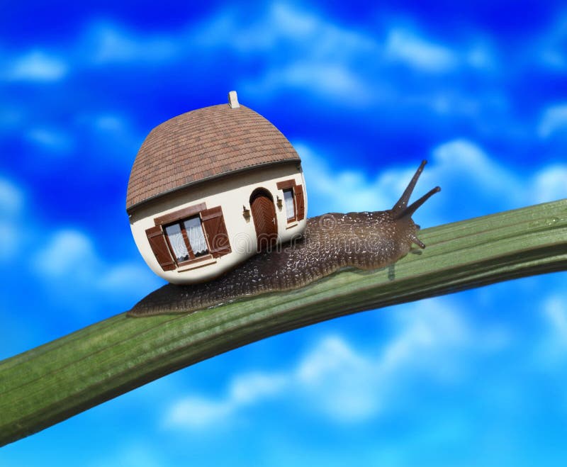Snail Carrying House on Its Back Stock Image - Image of property ...