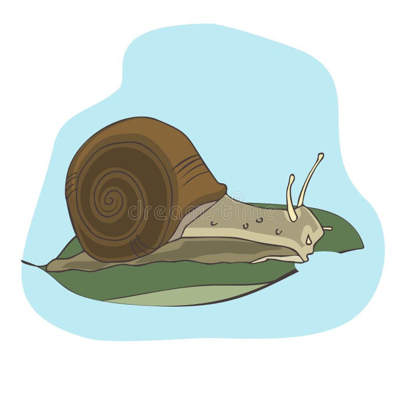 Snail cartoon vector stock vector. Illustration of cartoon - 124392793