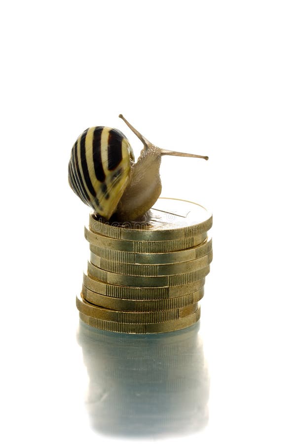 Snail on the coin pile stock photo. Image of paying, slimy - 7161006