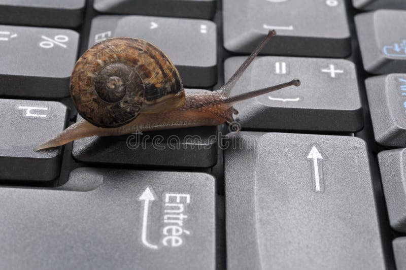 Snail on keyboard stock image. Image of snails, online - 30974641