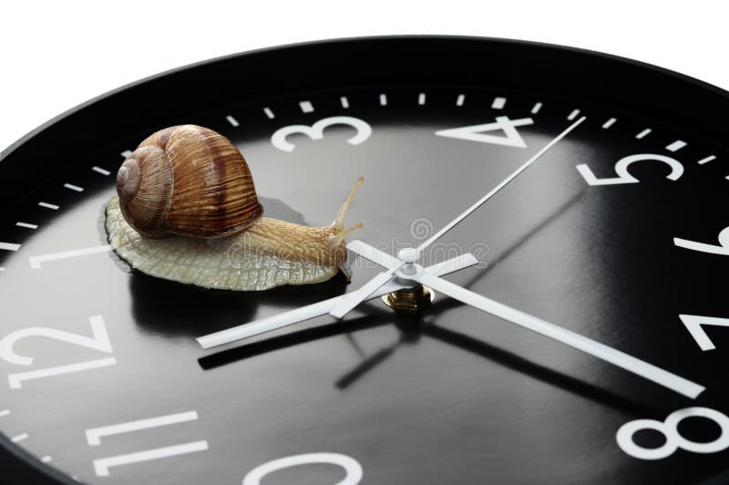 The Snail is Crawling on the Clock Face. Stock Photo - Image of mollusk ...