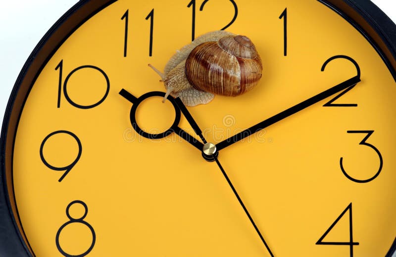 The Snail is Crawling on the Clock Face. Stock Image - Image of ...