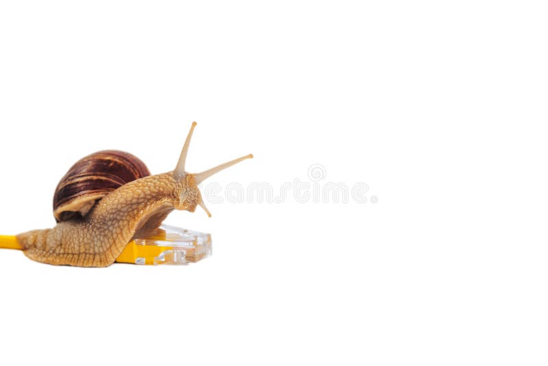 159 Pictures Cell Clip Art Stock Photos - Free & Royalty-Free Stock ...