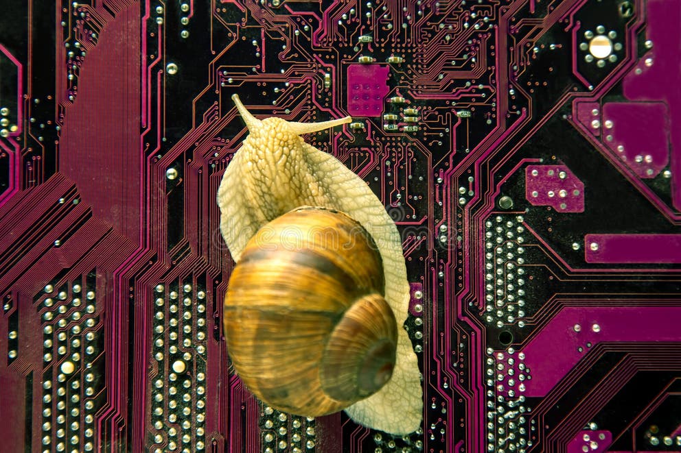 Snail Crawls on a Computer Electronic Circuit Board. the Concept of a ...