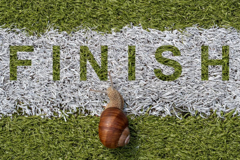 247 Snail Finish Line Stock Photos - Free & Royalty-Free Stock Photos ...