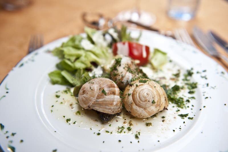 Snails stock image. Image of restaurant, sauce, lunch - 2605169