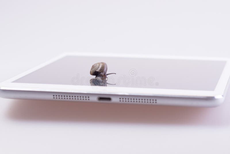 Snail on the device stock photo. Image of closeup, helix - 42889892