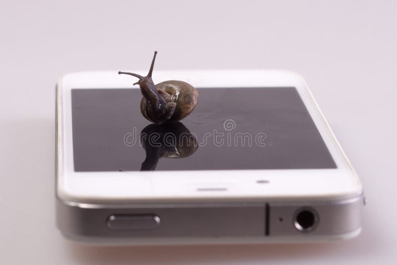 Snail on the device stock image. Image of mini, escargot - 42890089
