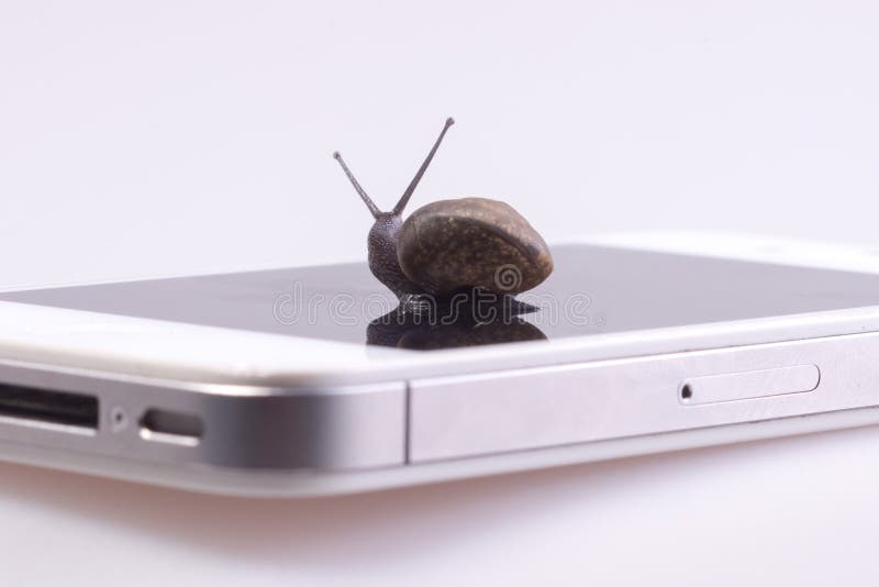 Snail on the device stock photo. Image of helix, beauty - 42890094