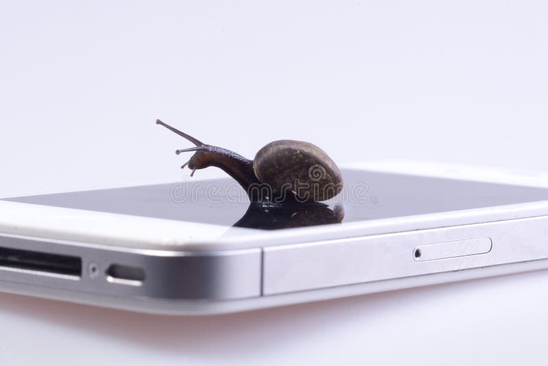 Snail on the device stock photo. Image of escargot, brown - 42890188
