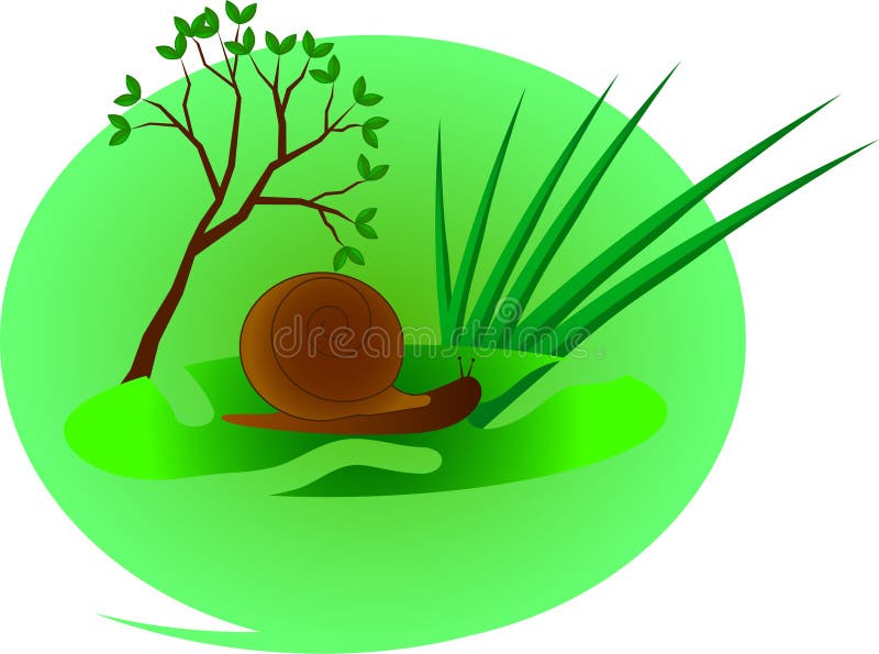 Snail eating leaves stock illustration. Illustration of nature - 72227649