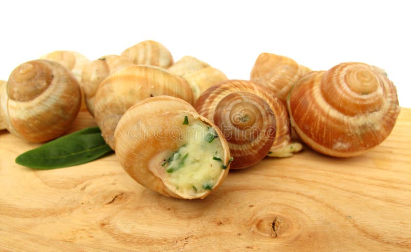 Snail Escargot Prepared As Food Stock Photo - Image of lunch, helix ...