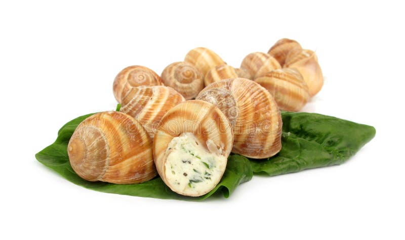 Escargot, appetizer. stock photo. Image of food, melted - 2351592