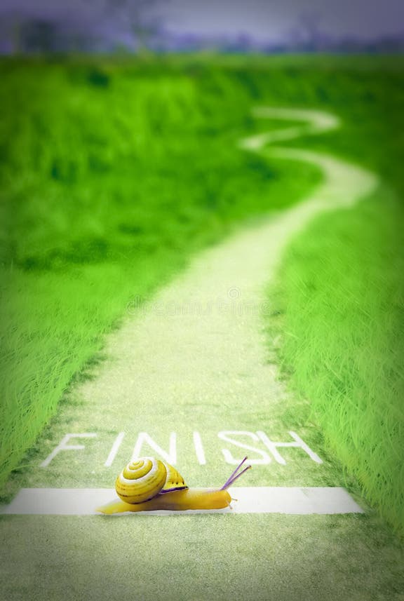 Animal Finish Line Stock Illustrations – 710 Animal Finish Line Stock ...