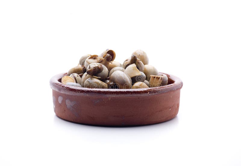 Snail food stock photo. Image of gastropod, lunch, shell - 56534748