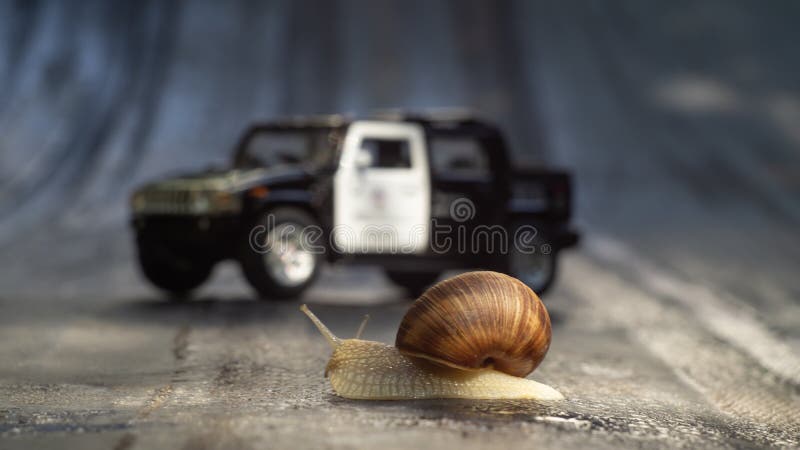 The Snail in Front of the Car Stock Photo - Image of crosses, road ...
