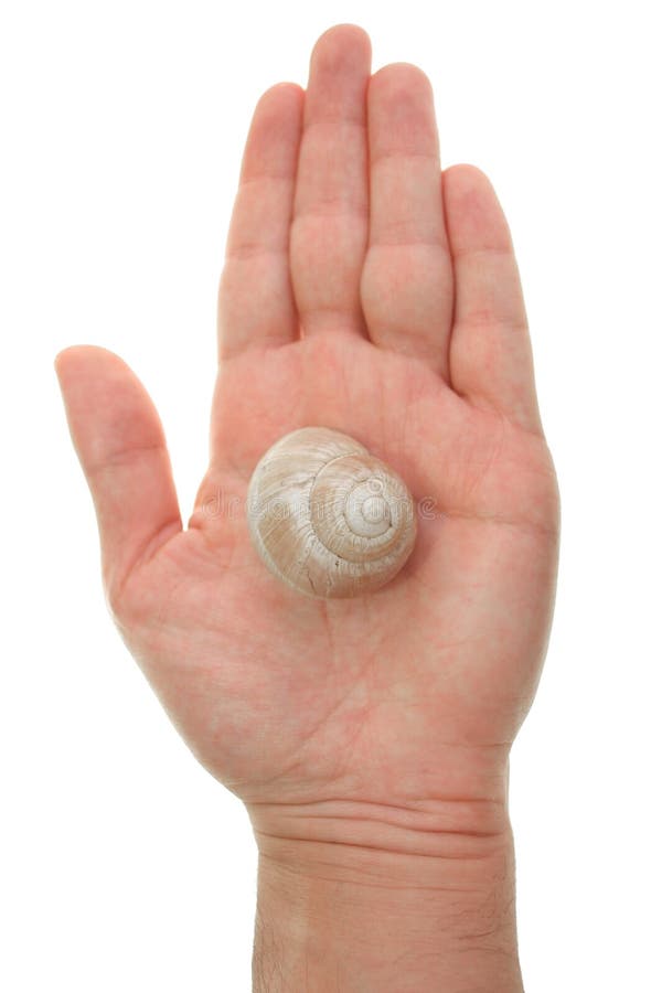 Snail on hand stock image. Image of natural, snail, climbing - 2901913