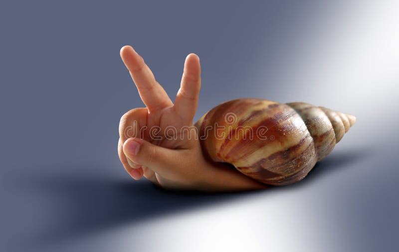 Snail & hand stock image. Image of concept, snail - 8747791
