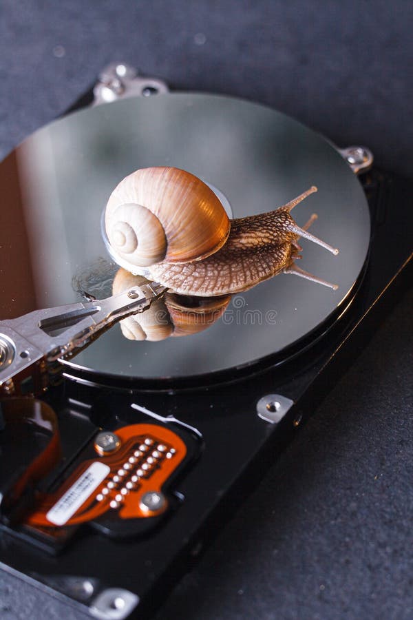 Snail on the Hard Drive. Slow Memory Stock Image - Image of ...