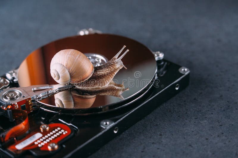 258 Snail Computer Stock Photos - Free & Royalty-Free Stock Photos from ...