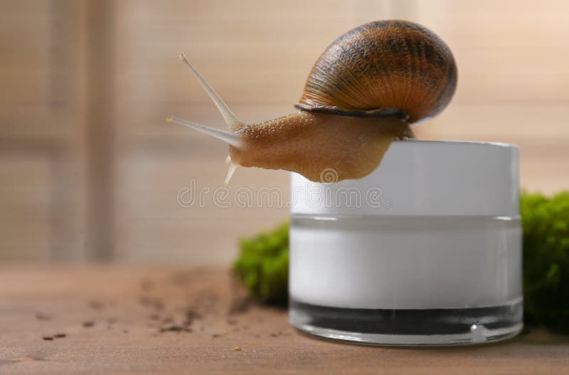 Snail and Jar with Cream on Wooden Table, Closeup Stock Photo - Image ...
