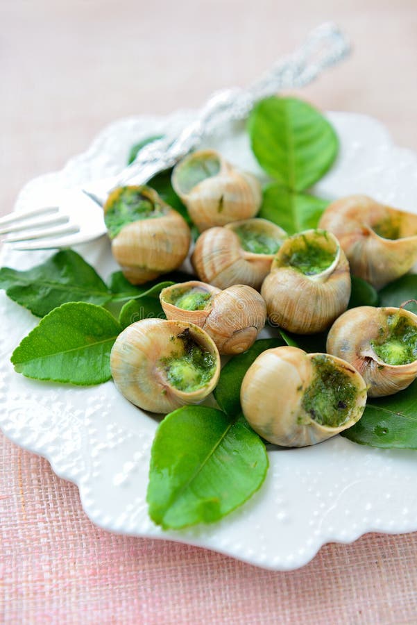 Snail on leaves of lime stock image. Image of close, state - 67788729