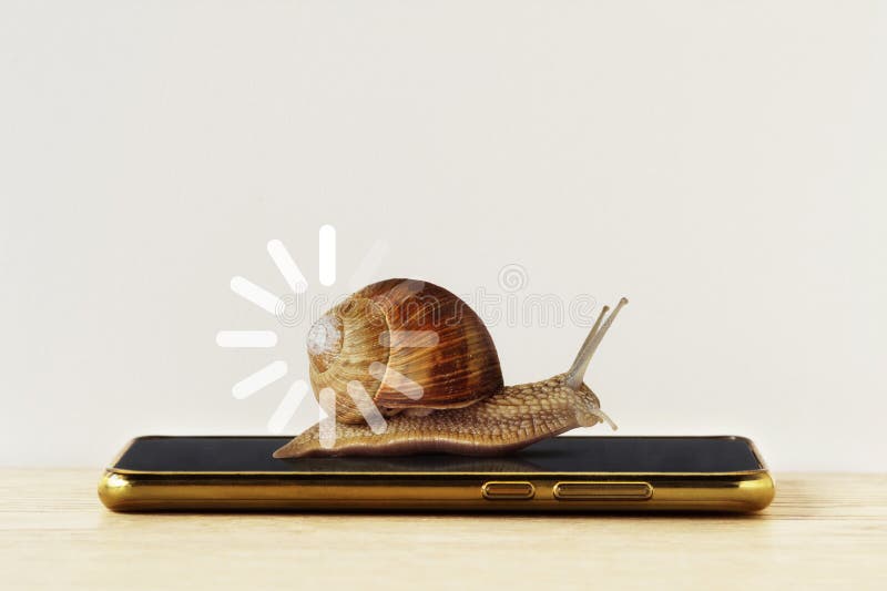 Snail with Loading Sign on Smartphone - Concept of Slow Internet Speed ...