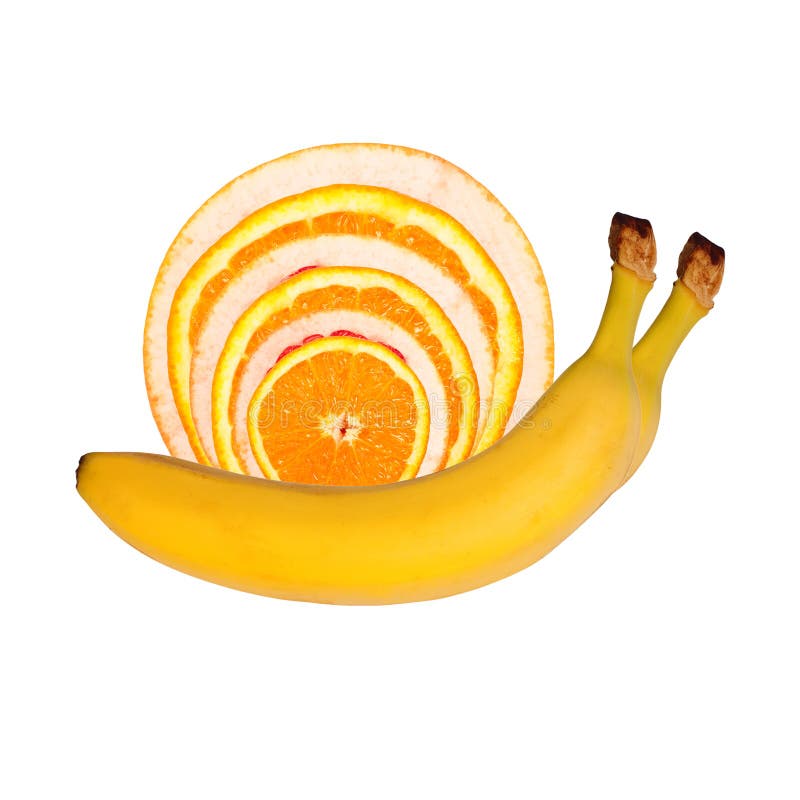 Snail, Made from Fruits and Vegetables Stock Photo - Image of ...
