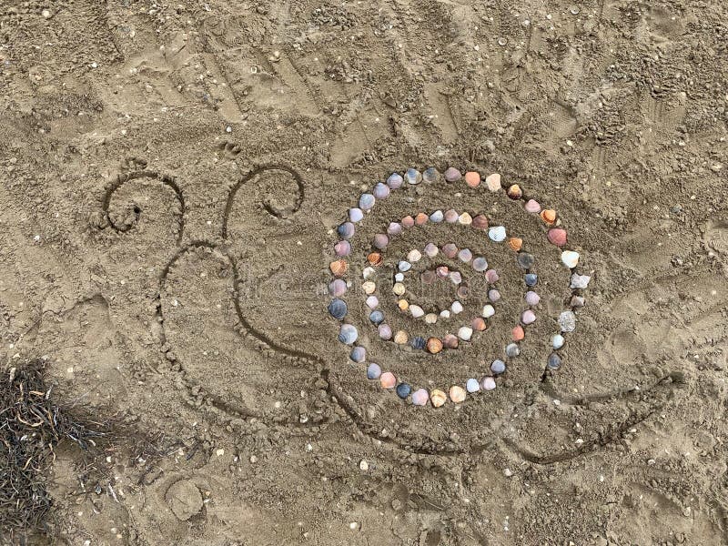 Snail Made with Shells on the Beach Stock Image - Image of symbol, sand ...