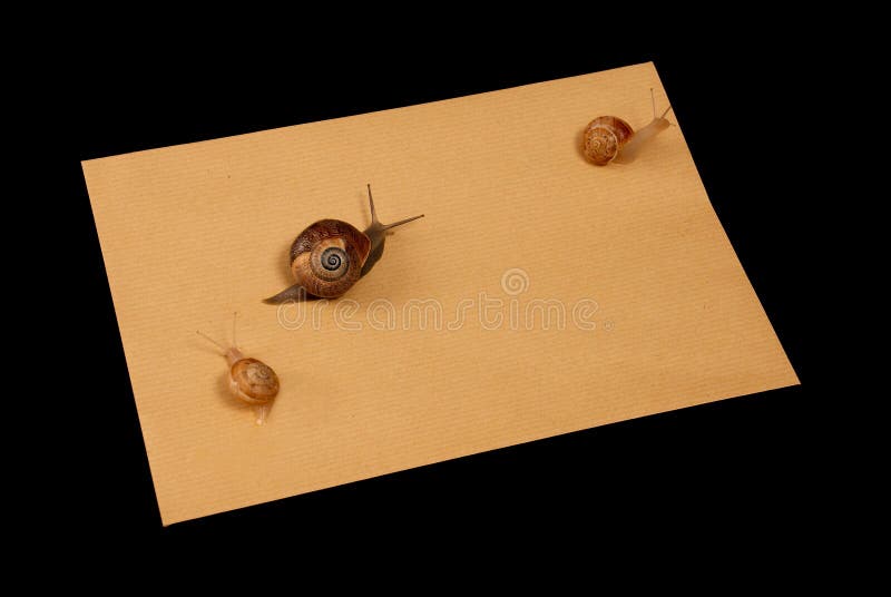 Snail Mail Stock Photos - Download 1,017 Royalty Free Photos