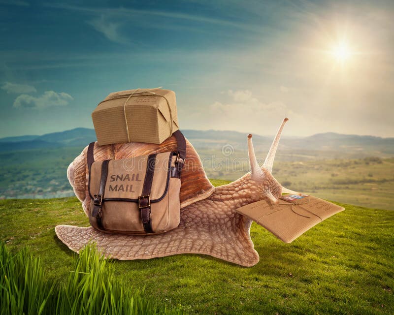 Snail Mail stock photo. Image of humor, patience, animal - 20243736