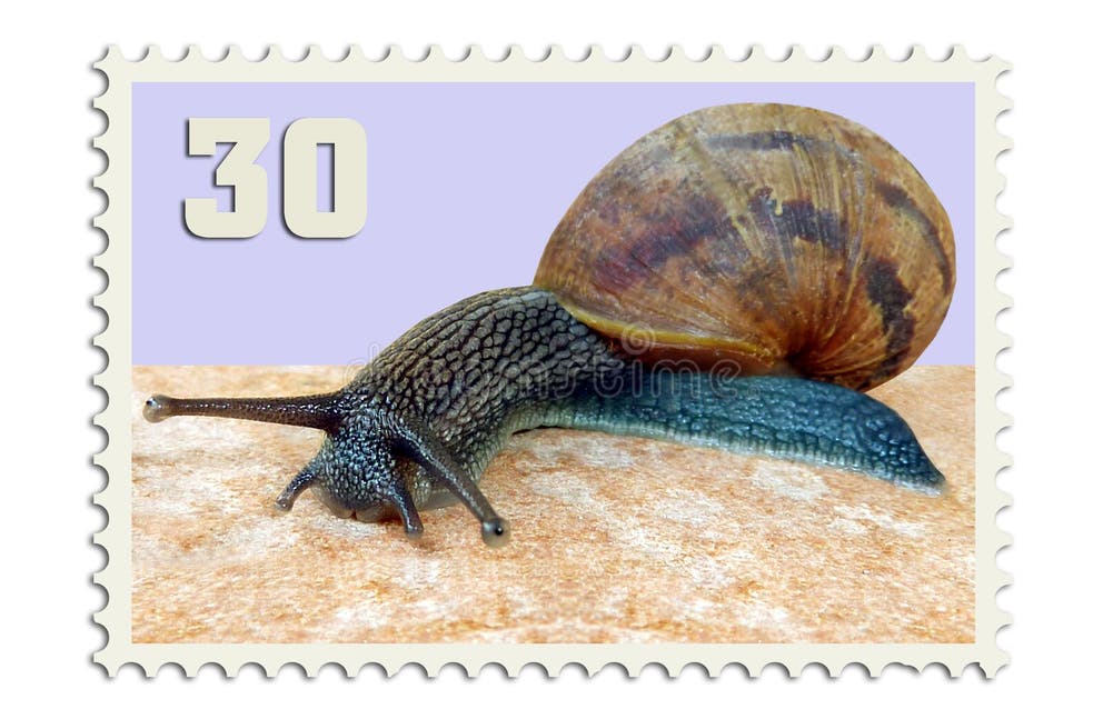 Snail mail stamp editorial stock image. Image of shell - 13431444