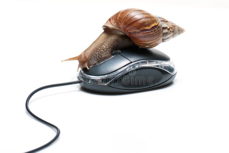 Snail on mouse stock photo. Image of internet, email - 32356790