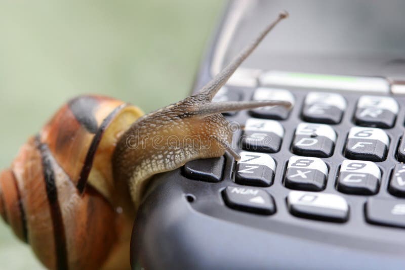 Snail on the phone stock image. Image of development, company - 2948187