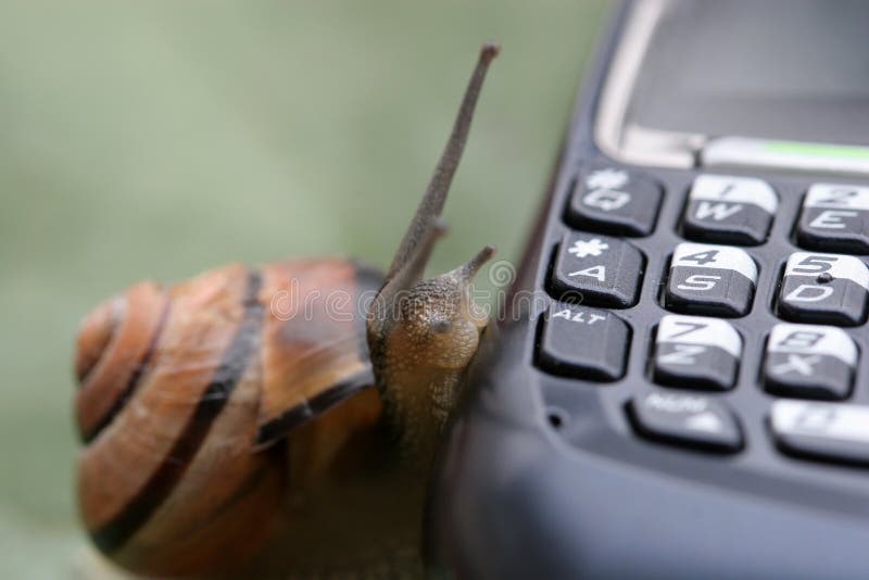 Snail on the phone stock photo. Image of acquire, escargot - 2948280