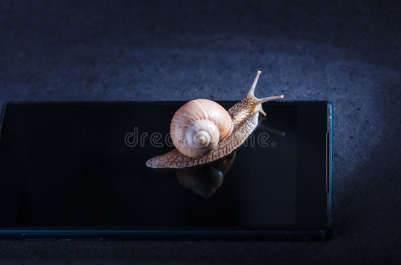 Snail on the phone stock image. Image of development, company - 2948187