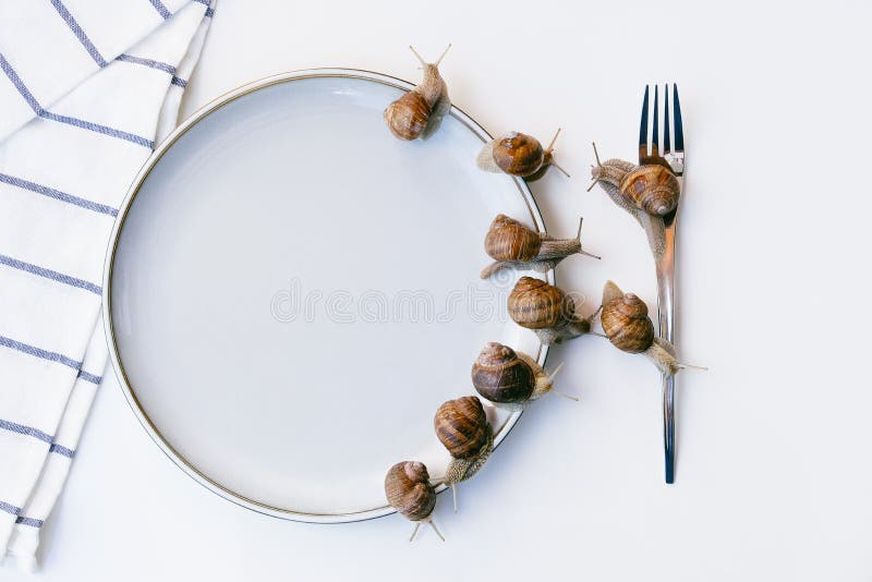 Alive snails on plate stock photo. Image of freshness - 247474948