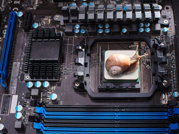 A Snail on the Processor in the Motherboard. Old Computer Stock Photo ...