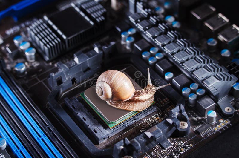 A Snail on the Processor in the Motherboard. Old Computer Stock Photo ...