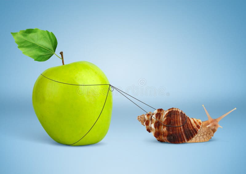 Snail Pulling Big Stone, Slowly Persistence Concept Stock Image - Image ...