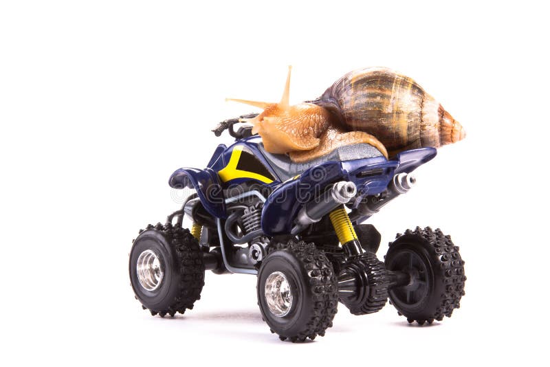 Speedy snail on wheels stock image. Image of creativity - 15615899
